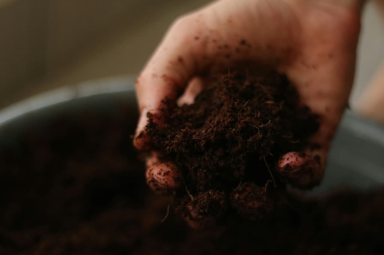 The Perfect Raised Bed Soil Mix Recipe for UK Gardens - The Garden Patch
